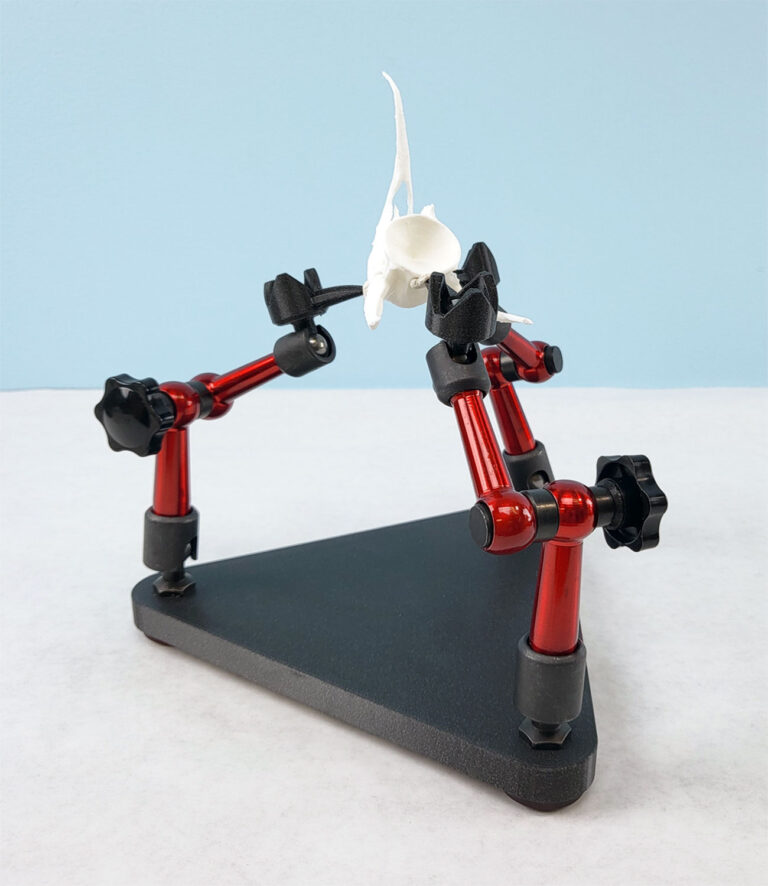 Laboratory Specimen Stand - Revware Portable CMMs